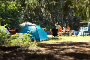 Camping in Zeeland mit Hund – hundefreundliche Plätze am Meer